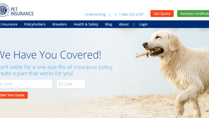 AKC Pet Insurance Review - Read Reviews And Share Your Experience!