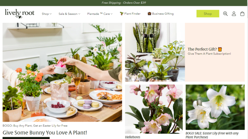 Lively Root review - ShopperChecked.com