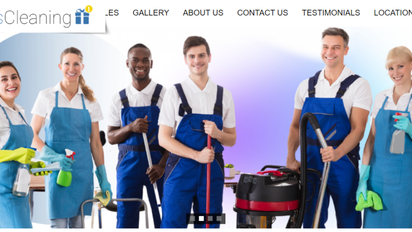 Bonus Cleaning Reviews