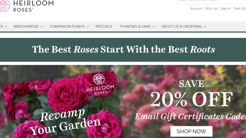Heirloom Roses Reviews